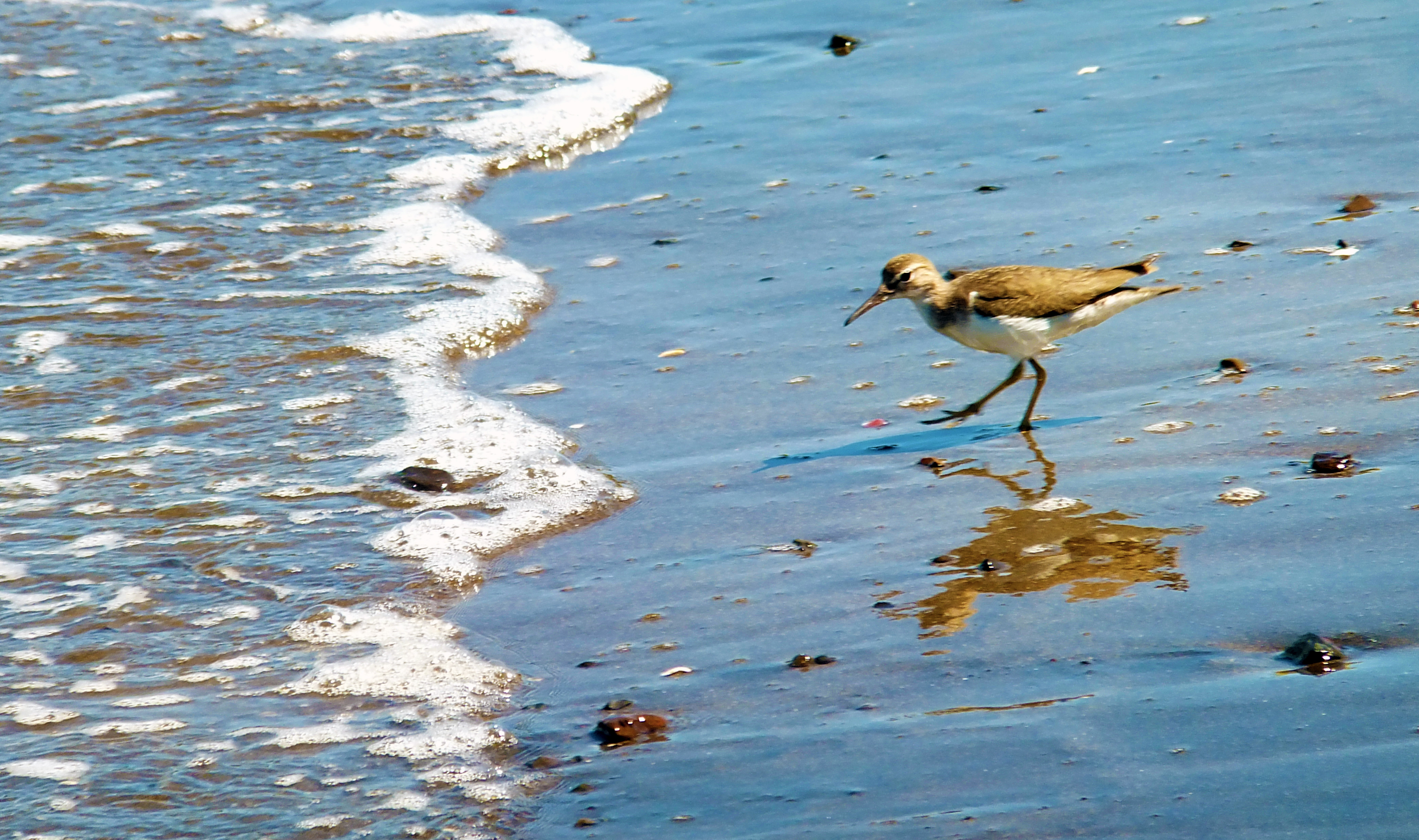 Another Day, Another Gorgeous Beach on Star Flyer’s Costa Rica Voyage ...